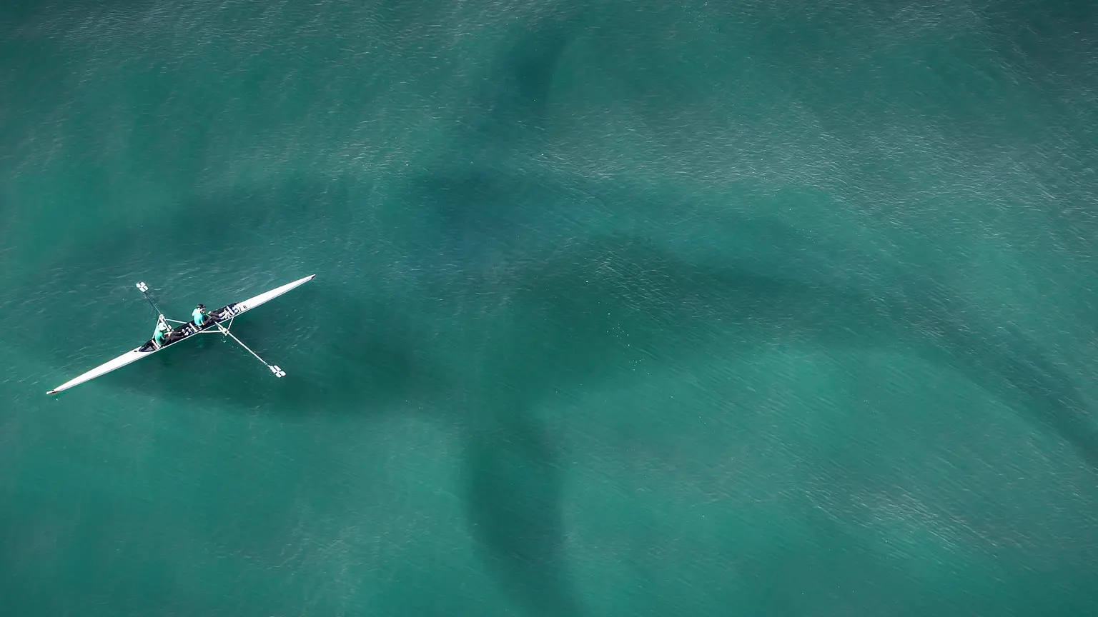 Učestali napadi orki na plovila: Kitovi ubice razbili brod kod Španije