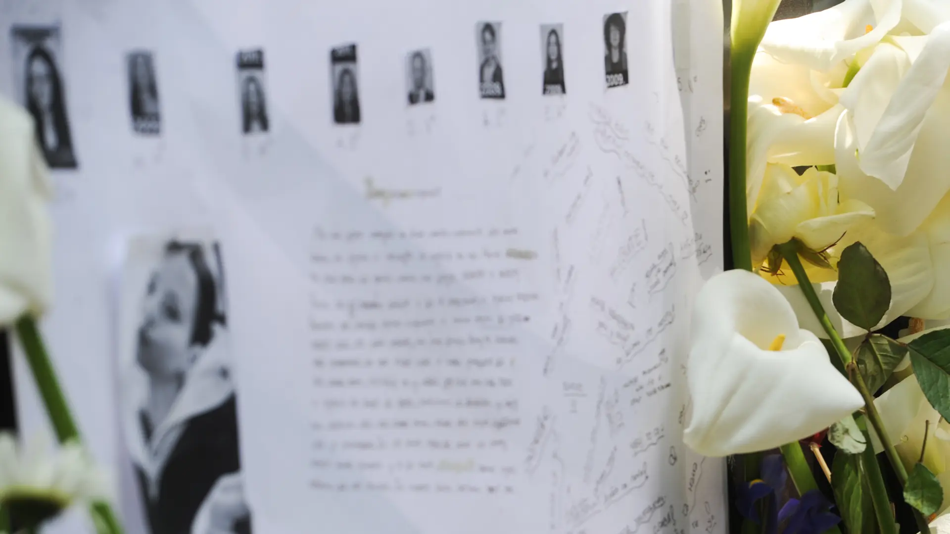 Čučković: Izdata dozvola za rekonstrukciju OŠ ''Vladislav Ribnikar''